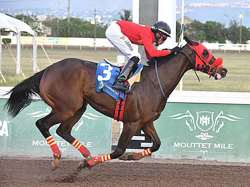 Nautical Star set to spice up St Catherine Cup feature - Jamaica Observer