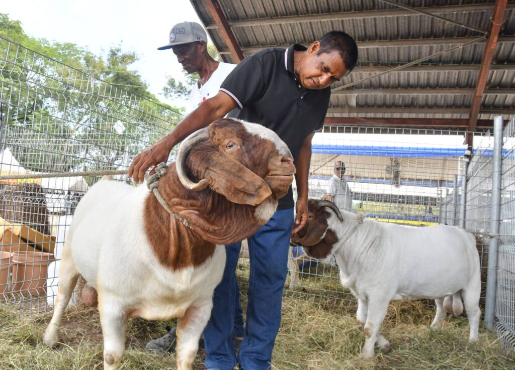 Caricom concerned about internal turmoil in Haiti - Jamaica Observer