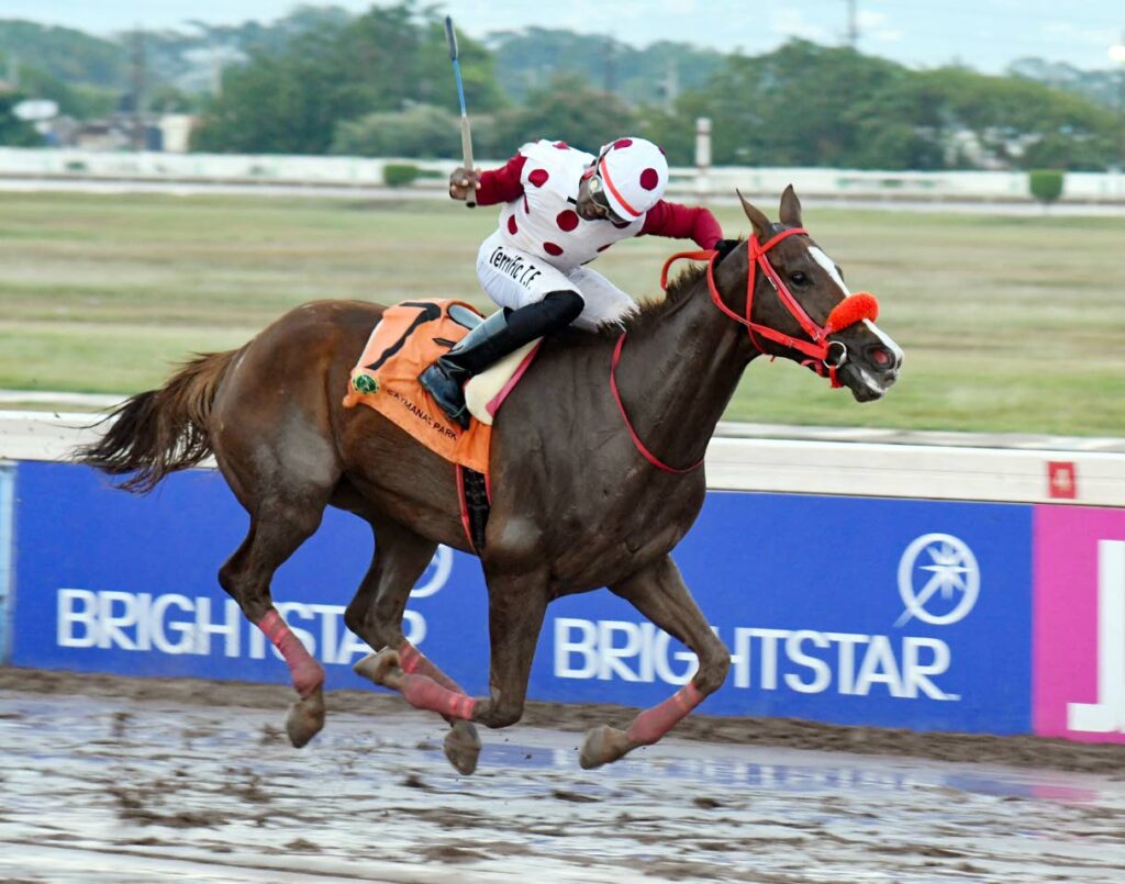 DaCosta kicks off 2026 with hat-trick of wins at Caymanas Park ...