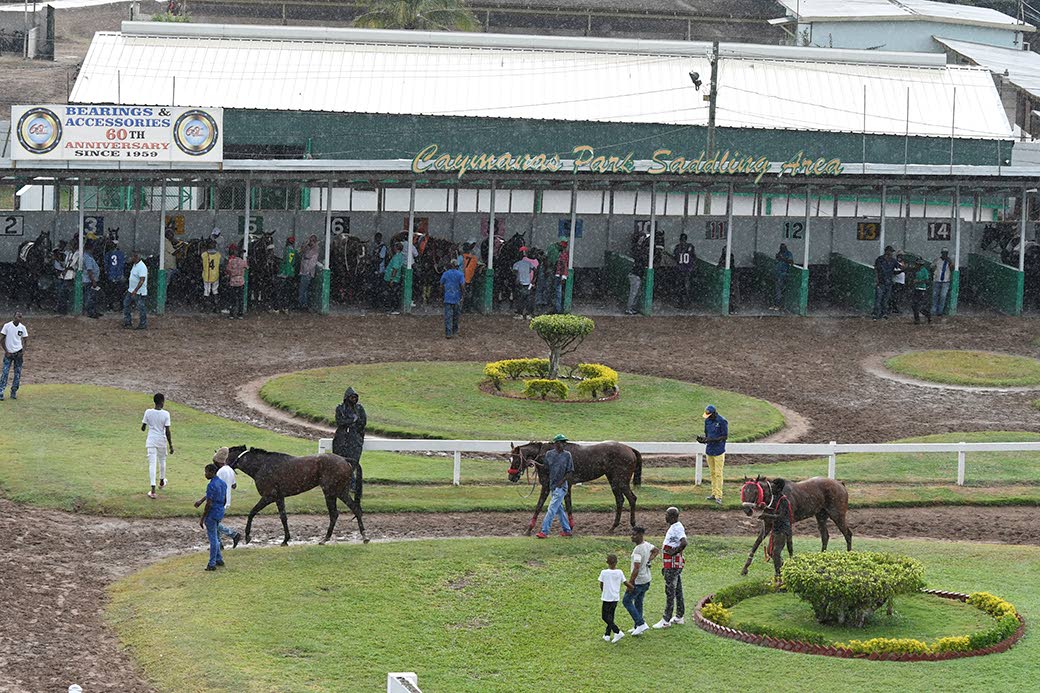 From CTL to SVREL: Lessons of local racing divestment - Jamaica Observer