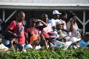 Racing industry’s key documents: A look at the JRC Act and Muir report ...