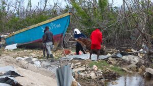 Parottee wetlands get lifeline after hurricane damage - Jamaica Observer