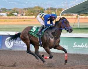Champion Bubbler the clear choice in George HoSang Trophy feature ...
