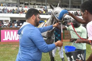 Defining Ash Wednesday triple success for Most-Improved Trainer 2025 ...