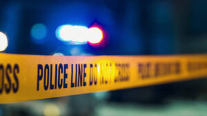 Torso found in bushes in St Elizabeth - Jamaica Observer