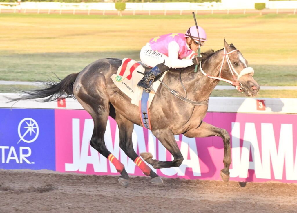 Mouttet Mile introduces new points system to boost competition ...