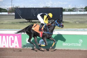 RACE DAY REVIEW – SATURDAY, FEBRUARY 28, 2026 - Jamaica Observer