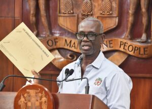 McKenzie blames overstaffing, poor management for financial challenges ...
