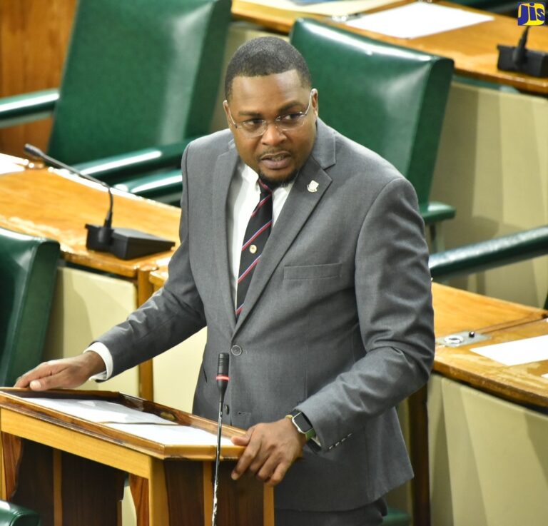 KSAMC must use increased allocations to fix parish council roads, says ...