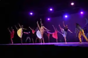 CDT continues Tony Wilson’s legacy with 2026 Season of Dance - Jamaica ...