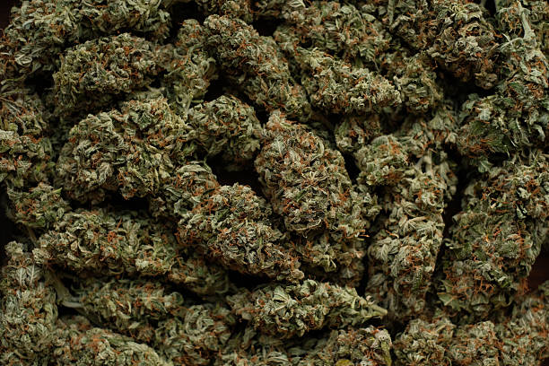 Cashier fined for ganja seizure at Kingston casino - Jamaica Observer