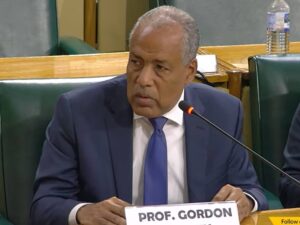 Container pile-up - Jamaica Observer