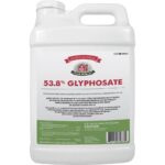 Glyphosate in Bread and the Food Supply - Jamaica Observer