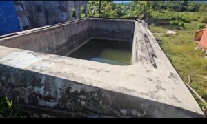 Sad Easter as St Elizabeth family mourns drowning death of 9-y-o in ...