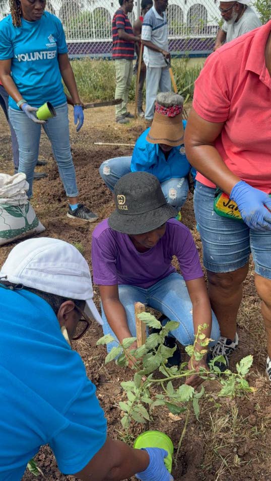 Mustard Seed, partners work for wards on Labour Day - Jamaica Observer