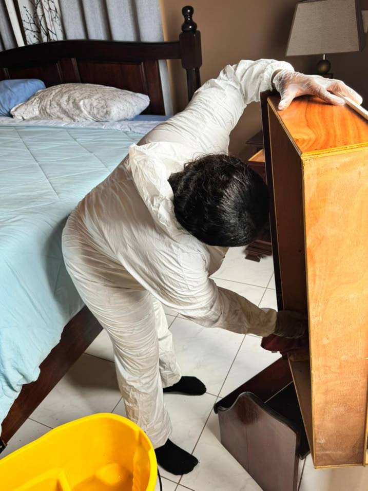 Servpro builds niche in mould remediation - Jamaica Observer