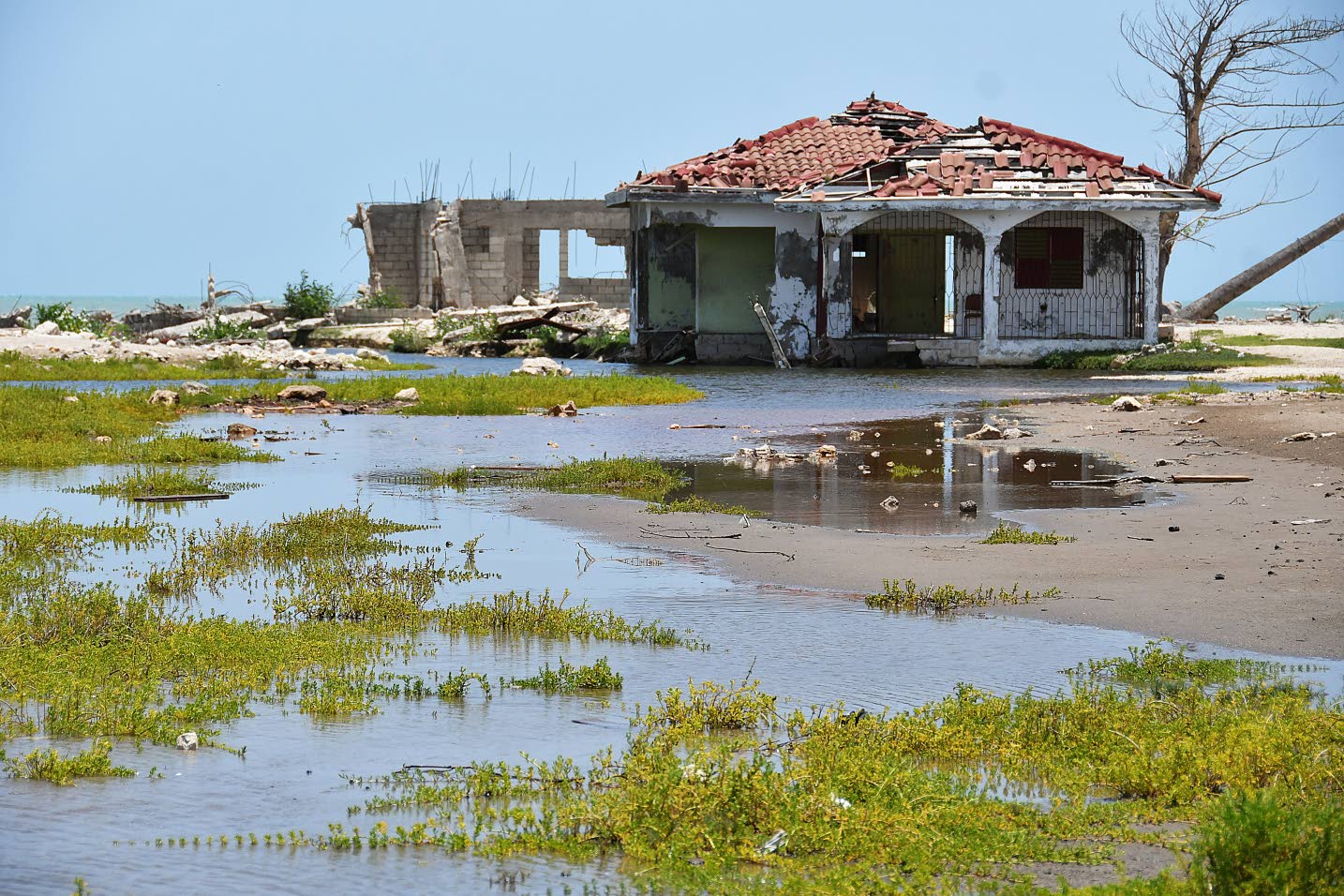 Higher ground - Jamaica Observer