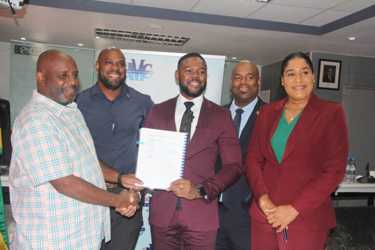 Six months and $84 million to get Bogue lands ready for sale - Jamaica ...