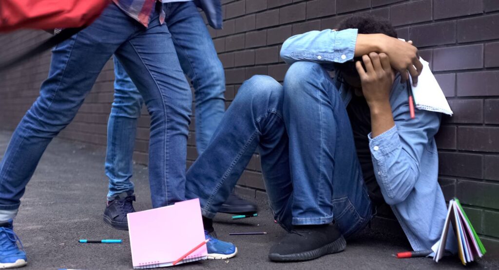 Multidimensional approach needed to push bullying out of schools ...