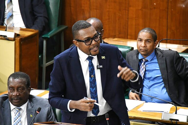 Morgan: Drainage plan to address Catherine Hall flooding - Jamaica Observer