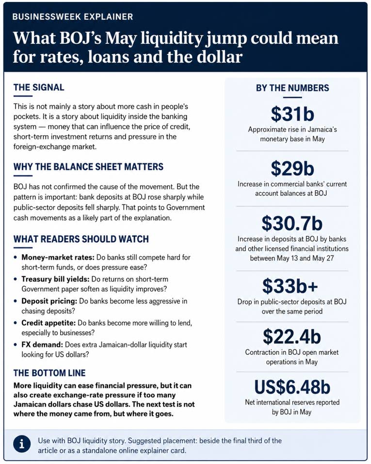 Banks park $29b more at BOJ as Government deposits fall - Jamaica Observer