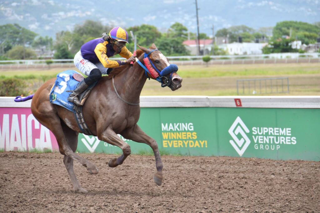 2000 GUINEAS RACE DAY PREVIEW — SUNDAY, JUNE 7, 2026 - Jamaica Observer