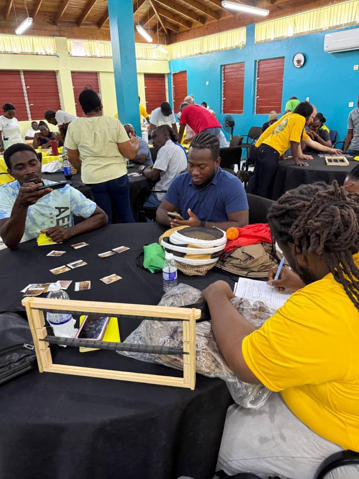 Beekeepers get post-Melissa boost - Jamaica Observer