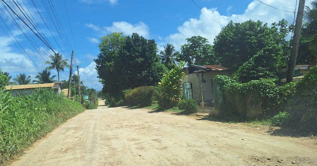 Minor land acquisition ahead of $292-m SPARK project in Trelawny ...