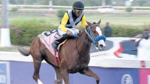 We Jammin looks to seal Classic season in $7.5-m Jamaica Derby ...