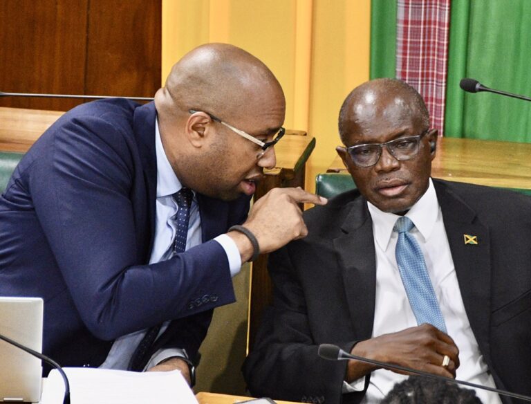 Parliament – Value Added Section